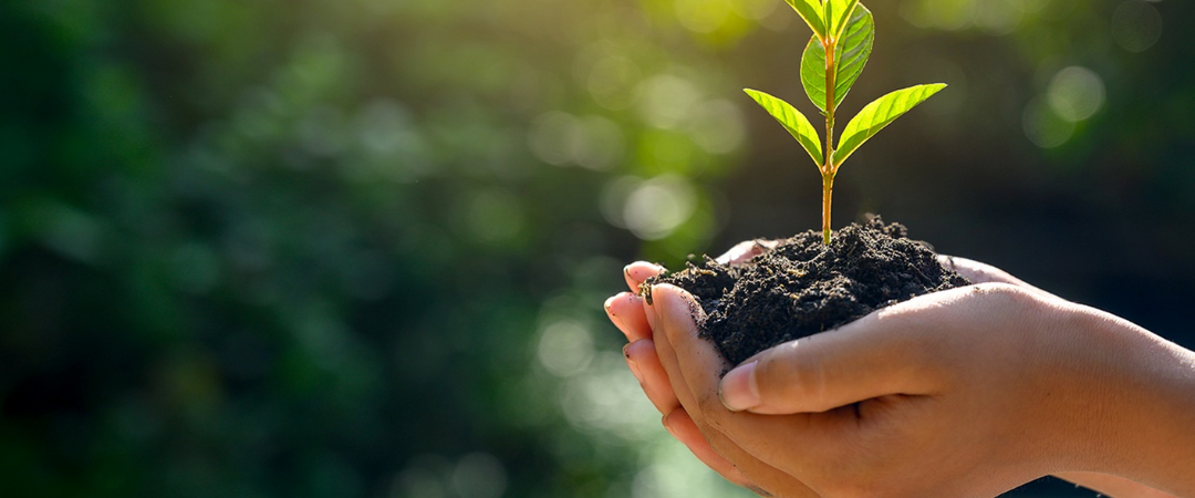 Our core brands – BioFirst Group