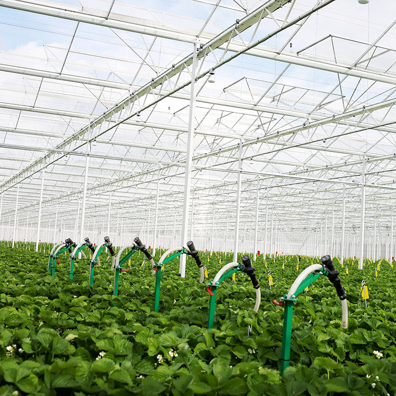 About Biobest – BioFirst Group