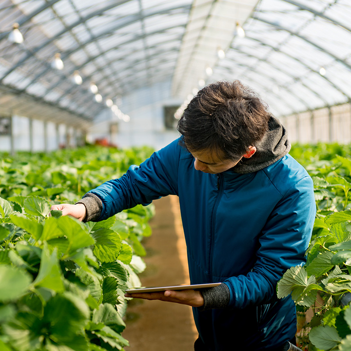 About Biobest – BioFirst Group