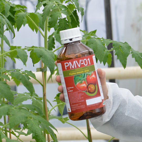 Over Biobest – BioFirst Group
